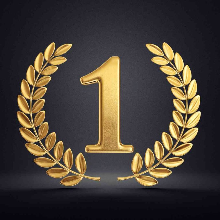 The Top NEMT Apps For Small Business Streamlining Transportation the-top-nemt-apps-for-small-business-streamlining-transportation